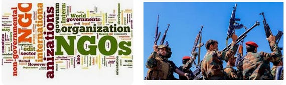 Non-State Actors and the Erosion of State Power: From Armed ...