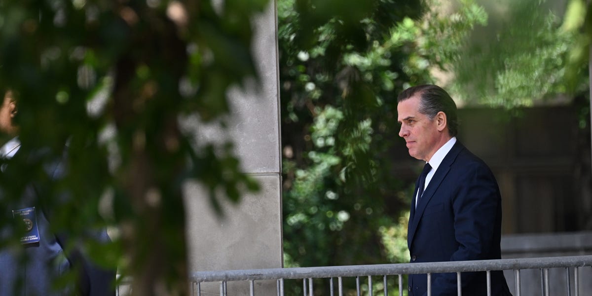 Comments - The Hunter Biden indictment *is* the product of weaponized ...