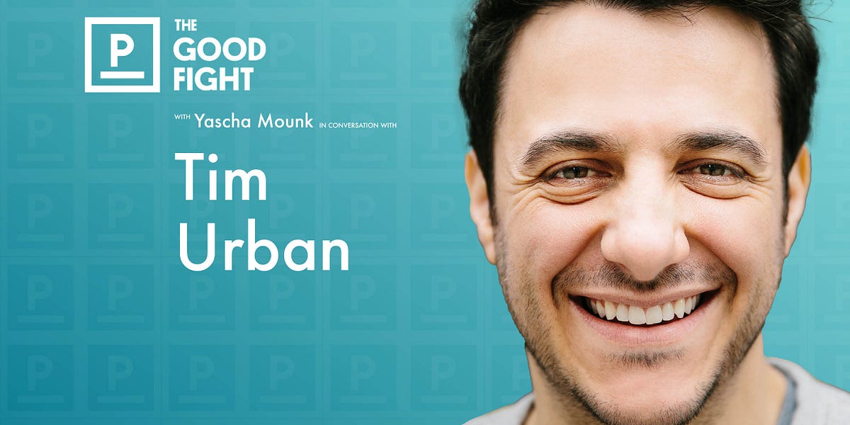 Tim Urban on Everything - Persuasion