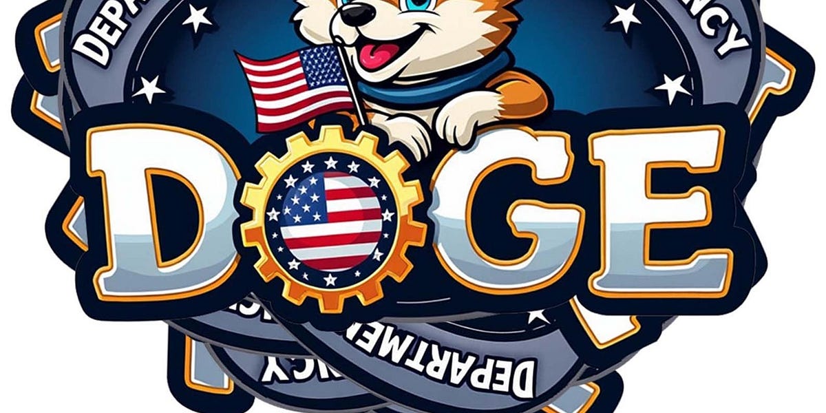 Comments - What I think DOGE is really up to