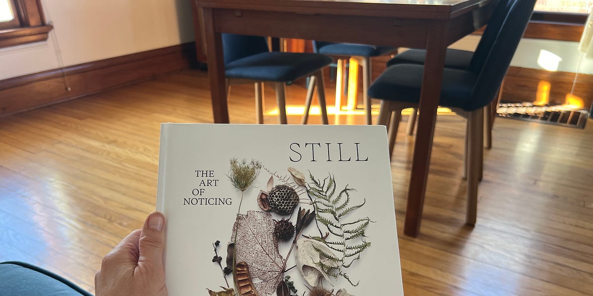 Why I hate wind - by Jessica Becker - Wanderlife