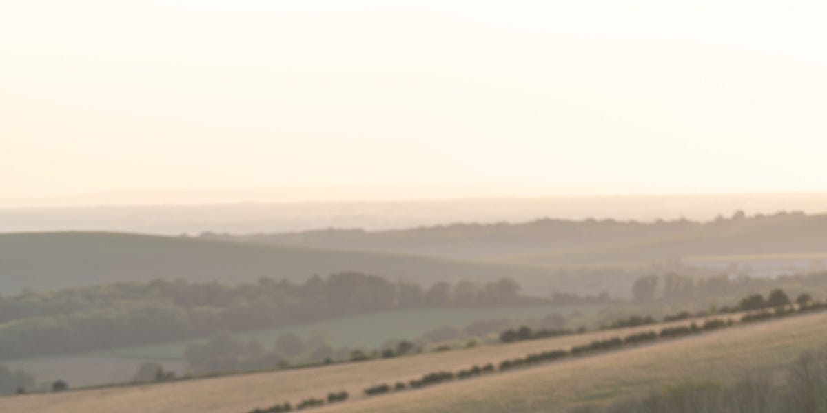 The Pelvic Levers of Long-Distance Walkers, Consequences and ...