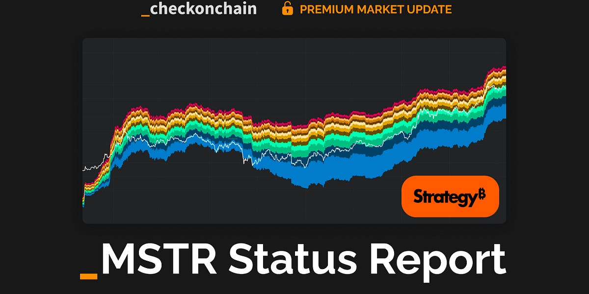 MSTR Status Report - by James Check (Checkmatey)