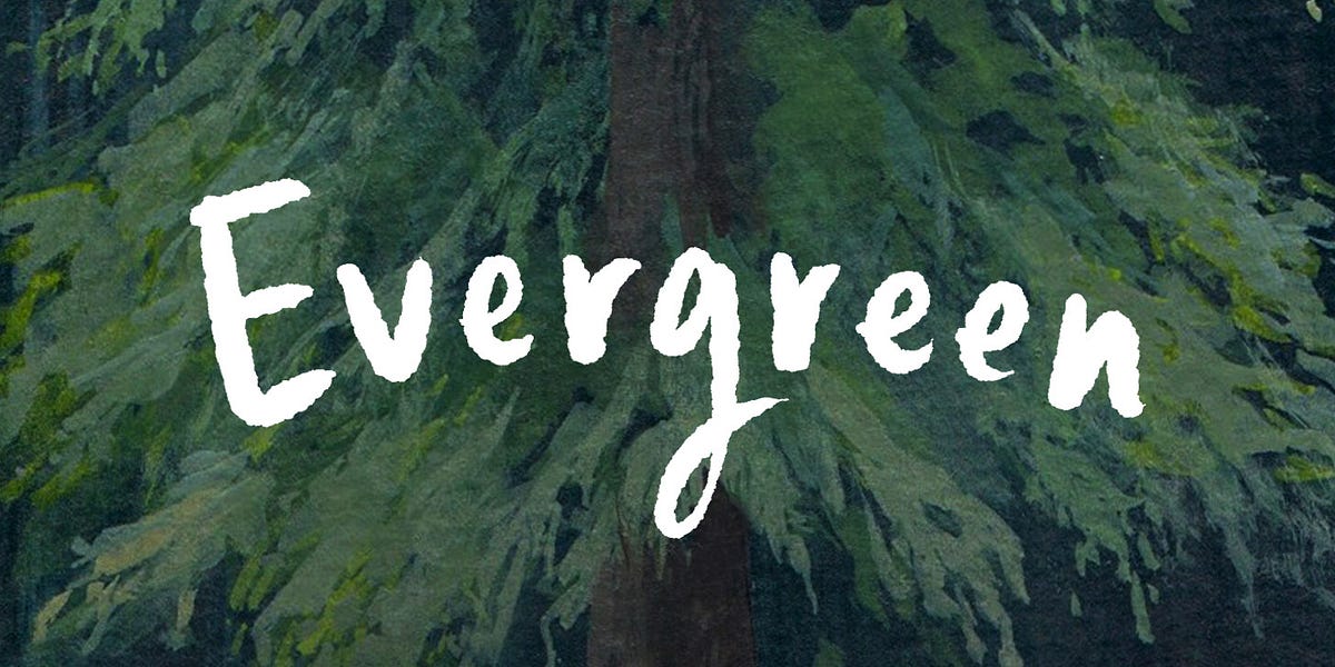 Evergreen - by Candace Rose Rardon