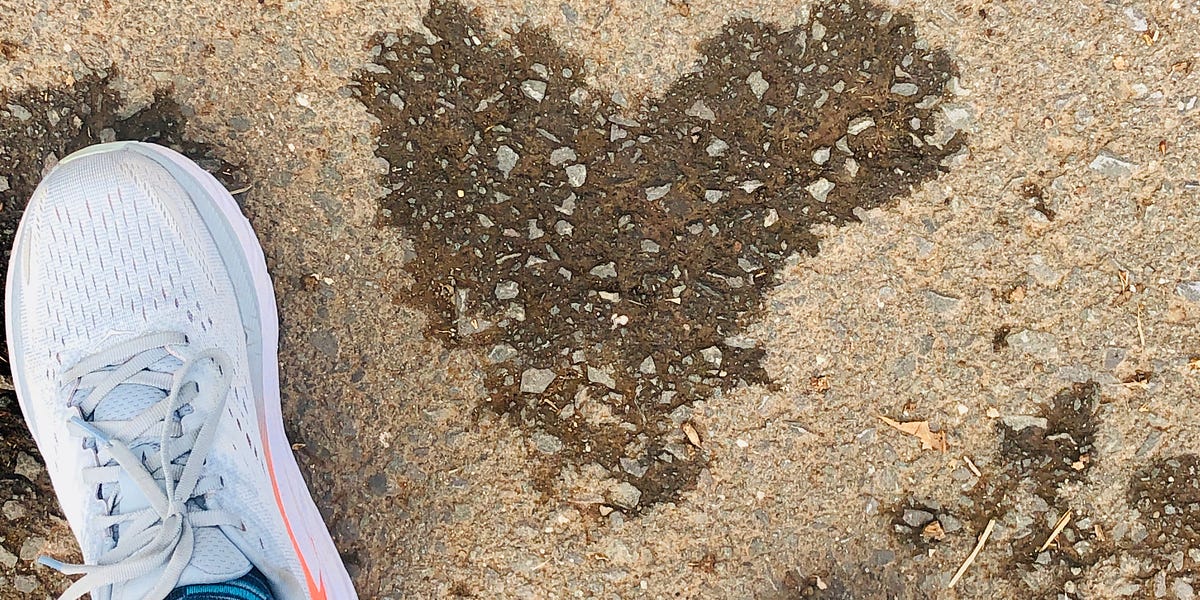 In search for sunshine - Laerta Premto