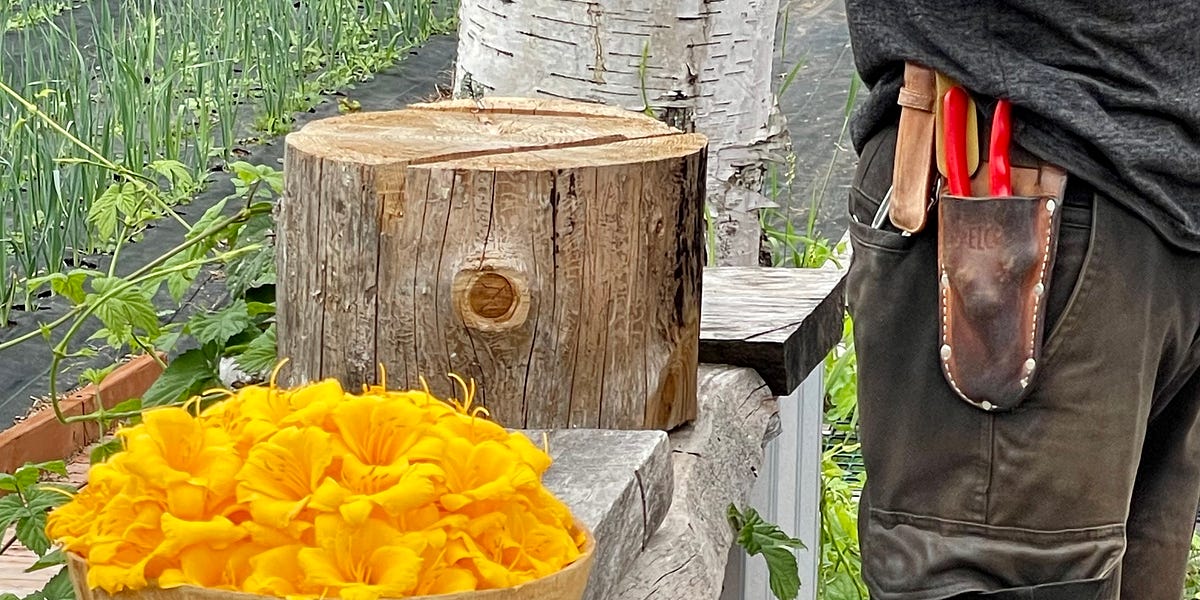 The Surprise of the Feast - by Michael Ruhlman