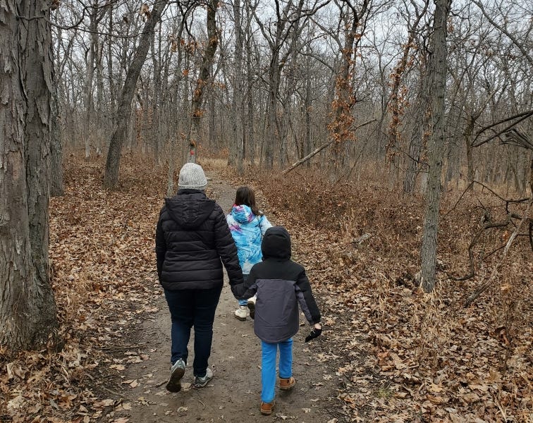 Walking Into The New Year - by Kimberly Knowle - Zeller