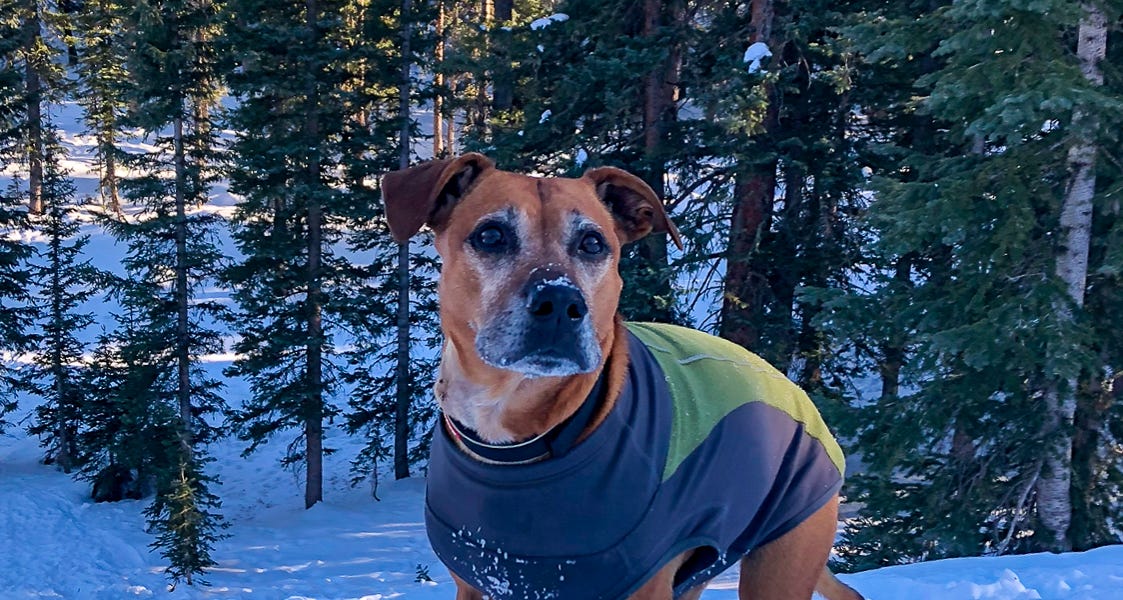 PNC-27 Peptides in the Ruby Protocol: A Cancer-Fighting Breakthrough?