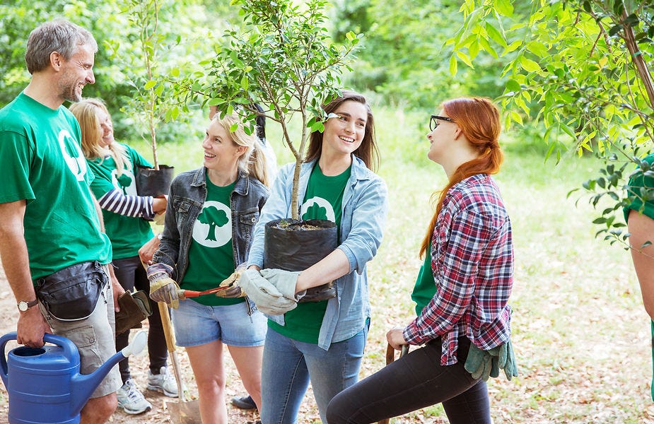 What is the Third Sector? - by Rachel Ireland