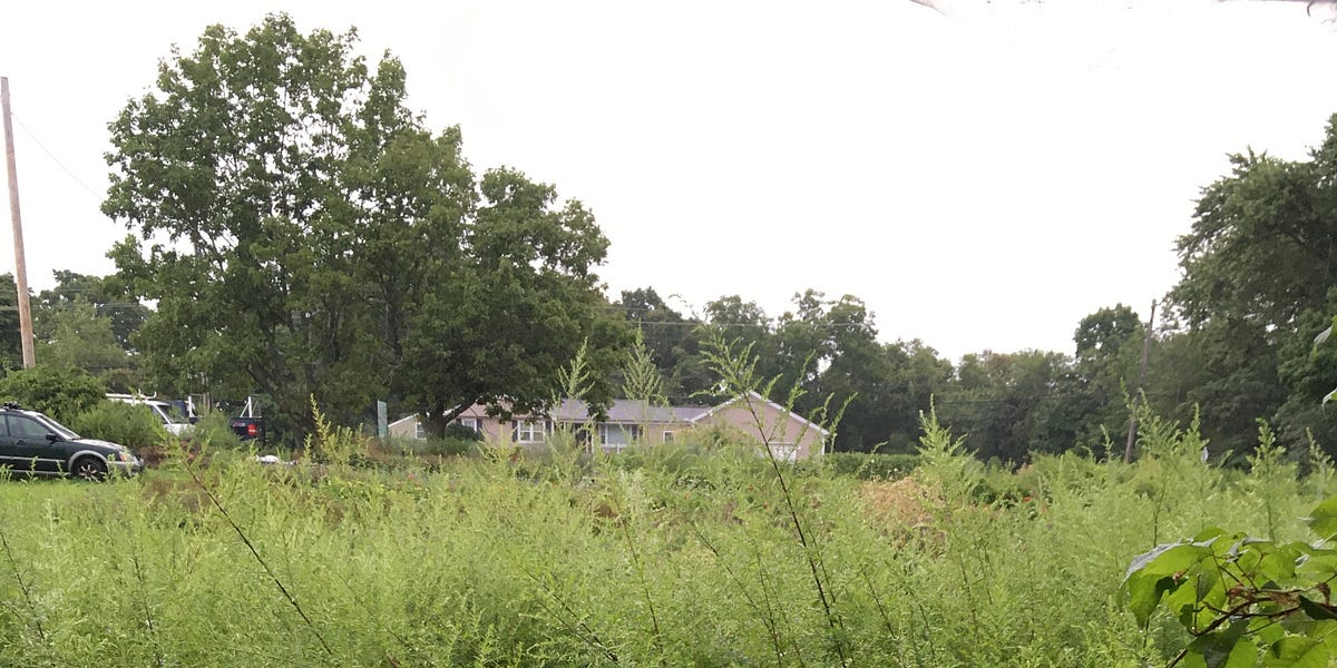 barn poem - lizzie’s Substack