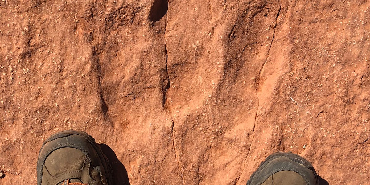 Jurassic Park - by Kate Wasem - The Red-Tailed Lady