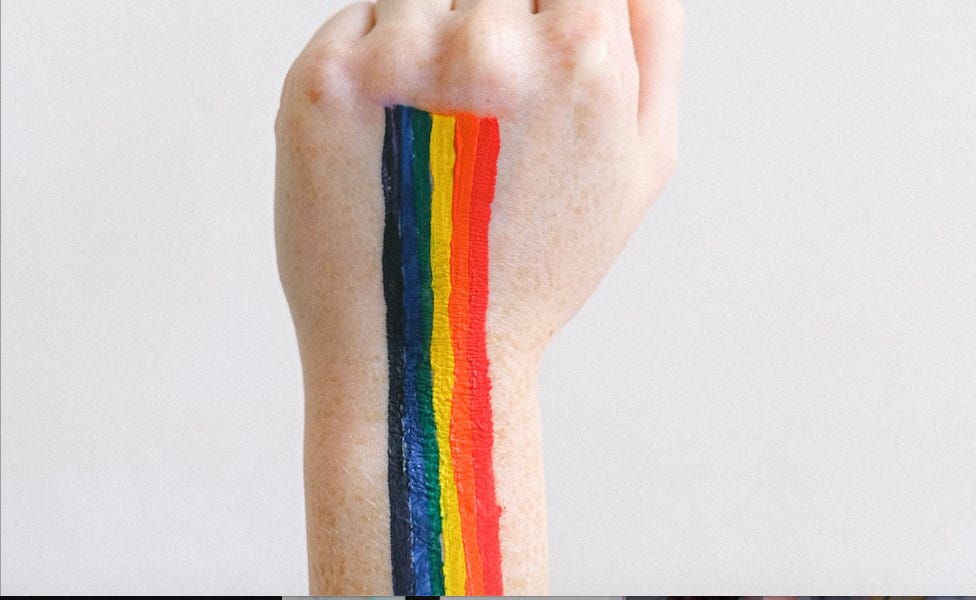 The Yogyakarta Principles - by Will Knowland