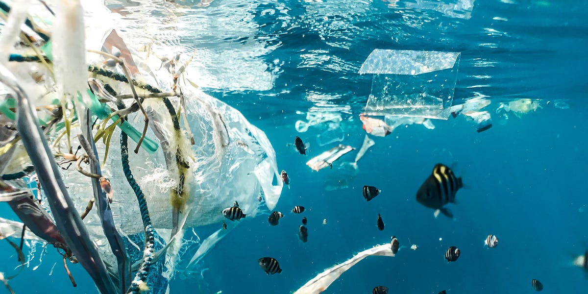 Surprising levels of microplastics found in bottled water
