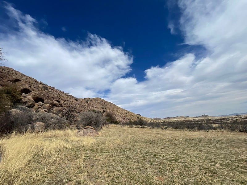 Coalition Building: Part 2 - by Misti Little