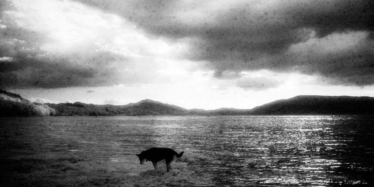 The Freedom-Sucking Daemon - by Tom Worster - thefsb