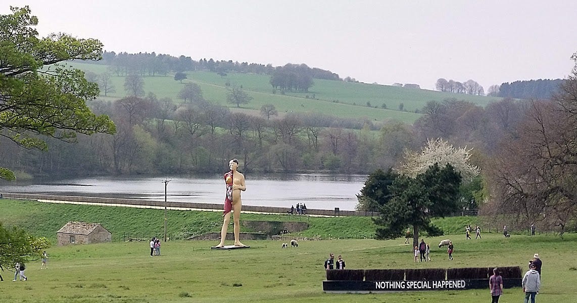 Grass and Humans in the Anthropocene Epoch