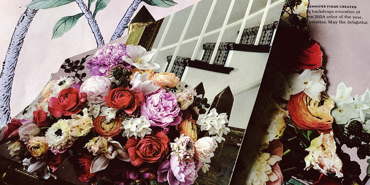 Swallow - by Hannah Marcotti