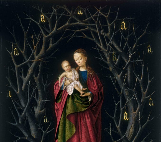 Let's read a Northern Gothic painting: the Virgin of the Dry Tree