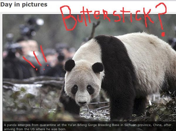 China Forces U.S. Butterstick Fans To Clean Panda Poop