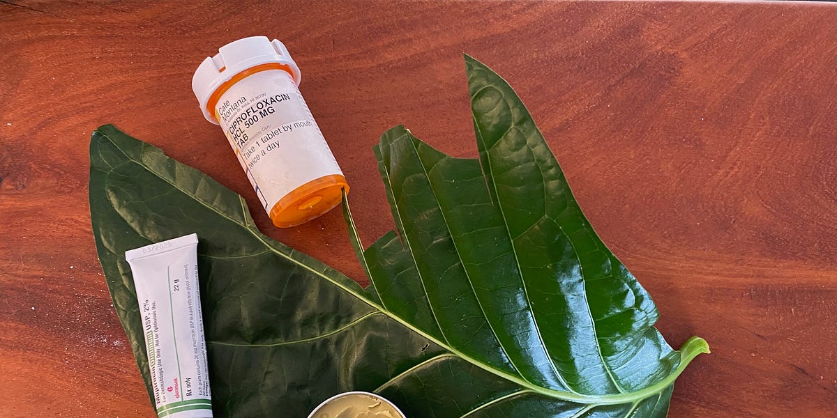 The real nature of goodness - by Cate Montana