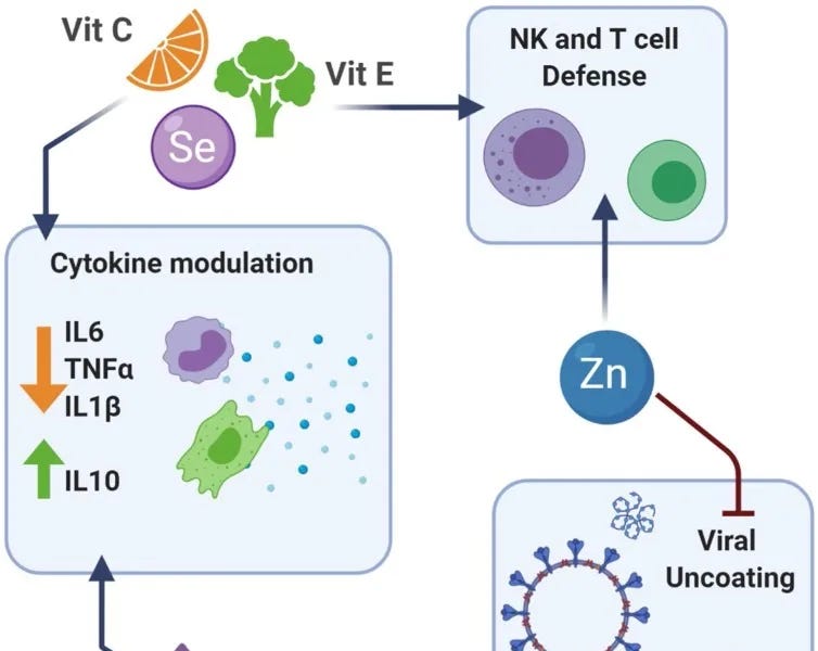 Review: "BNT162b2 COVID-19 vaccination in children alters cytokine ...