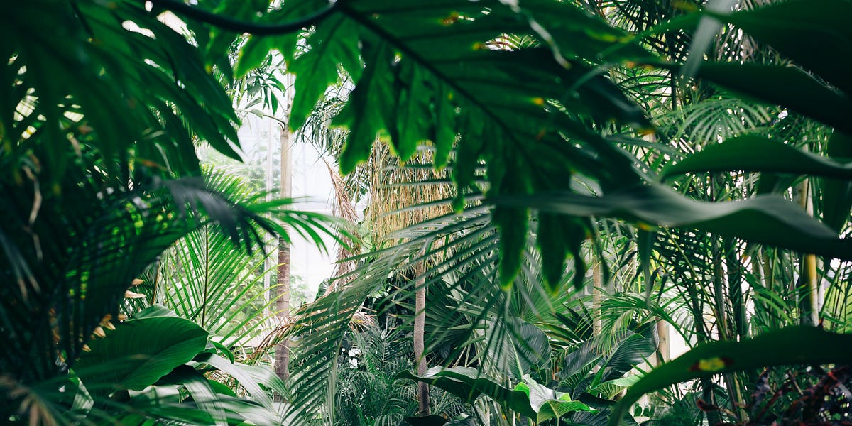 Getting Started as a Data Analyst - by Bilikisu Olatunji