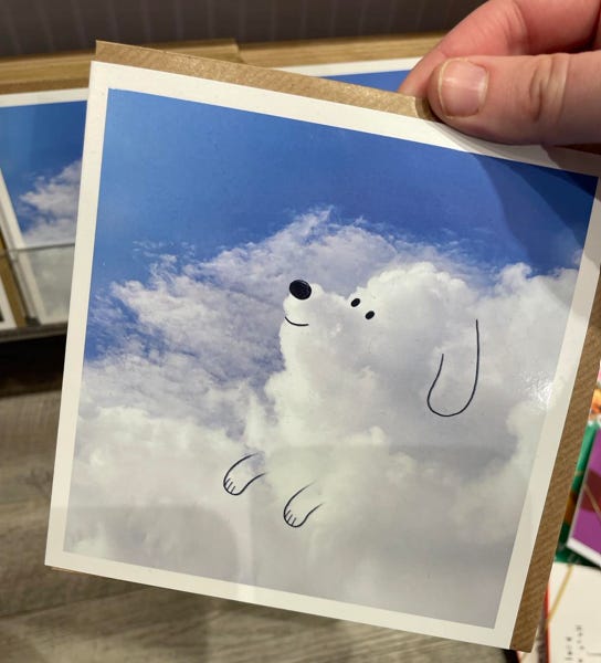 Head in the Clouds - by Paige Gardner - Paige’s Substack