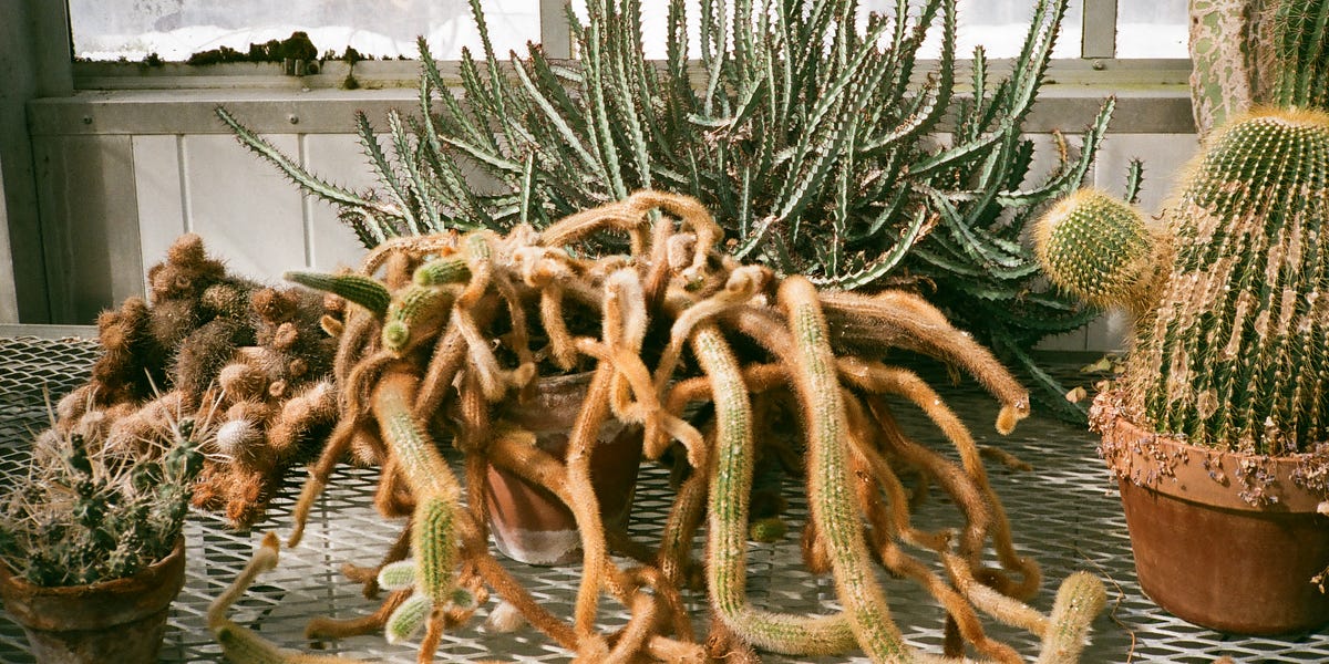 Hot and bothered - by Julia Bedell - vessels