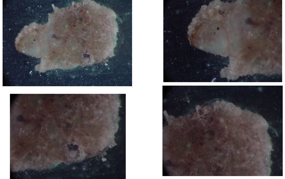 Dr. Ana Mihalcea retires from public life