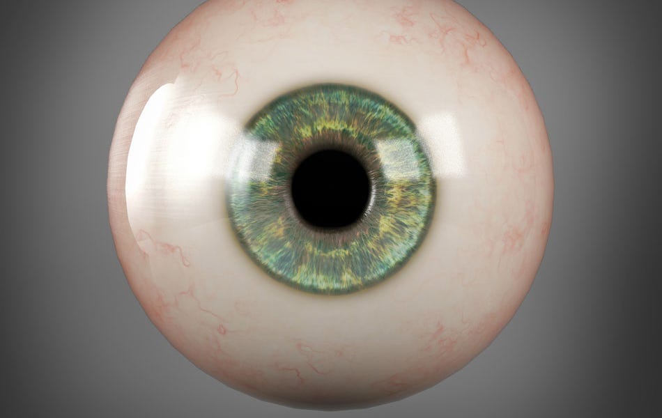 Making Contact (Lenses) - by Bev Potter