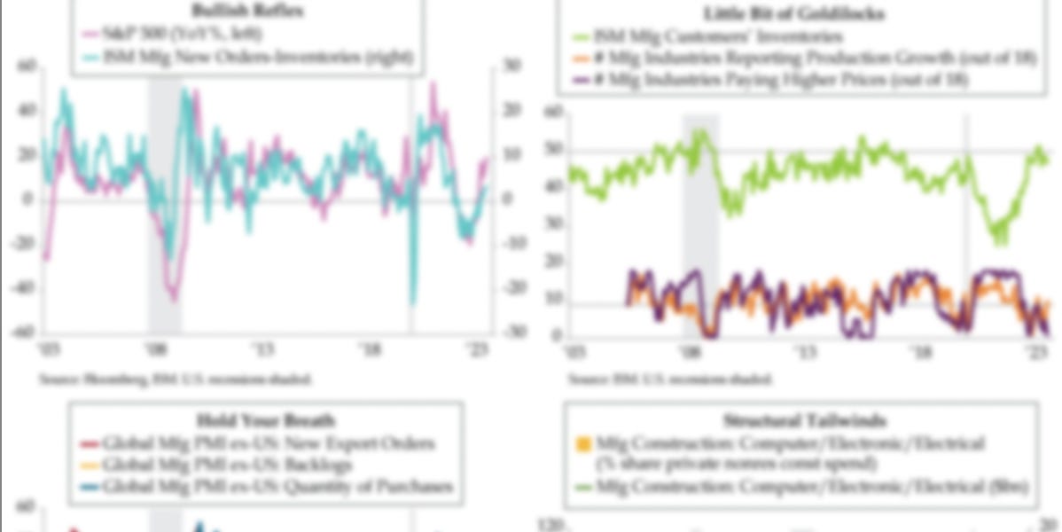 The Daily Feather — Identification Parade