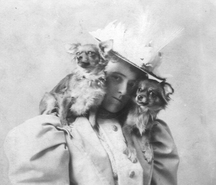 The Wharton Plot - by Barbara Shoup - Book Pilgrim