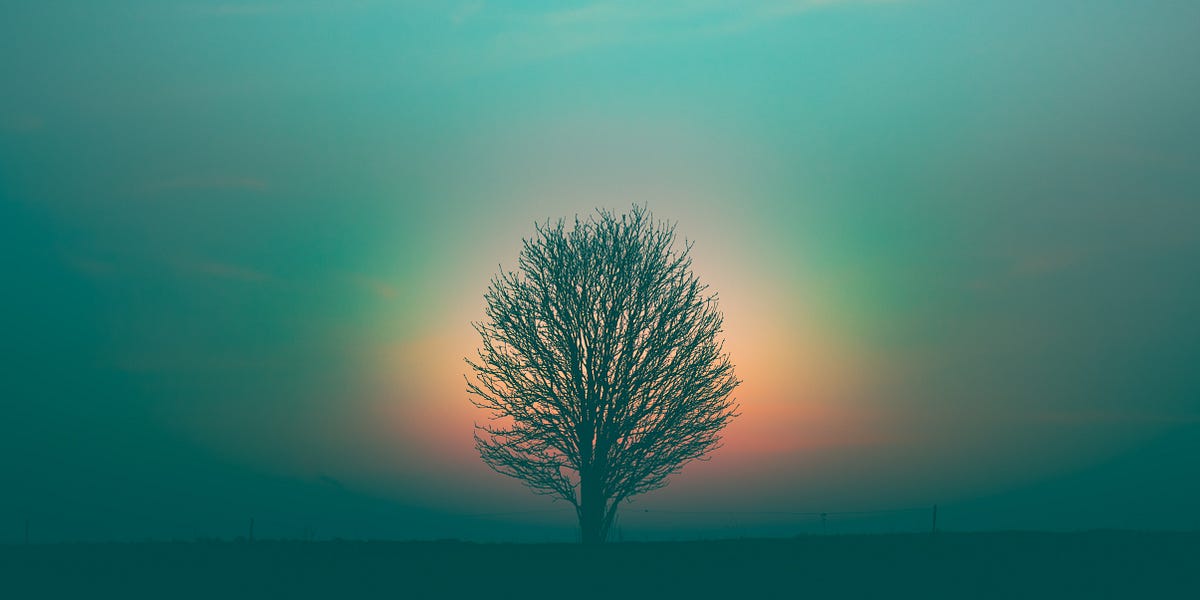 How Religion Impacts Immigrant Communities - by Sharon Kwon