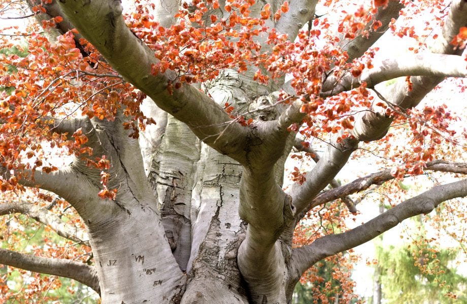 The unbound moment - by Aram Mitchell