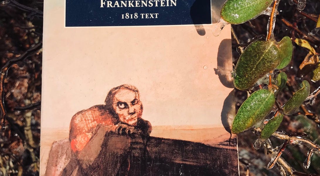 Mary Shelley’s Frankenstein: A Tale of Two Monsters