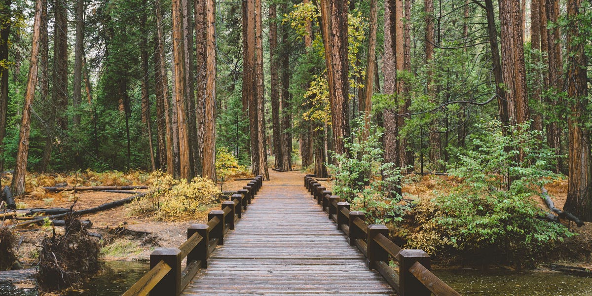 17 Questions to Reorient Yourself - by Chris Guillebeau