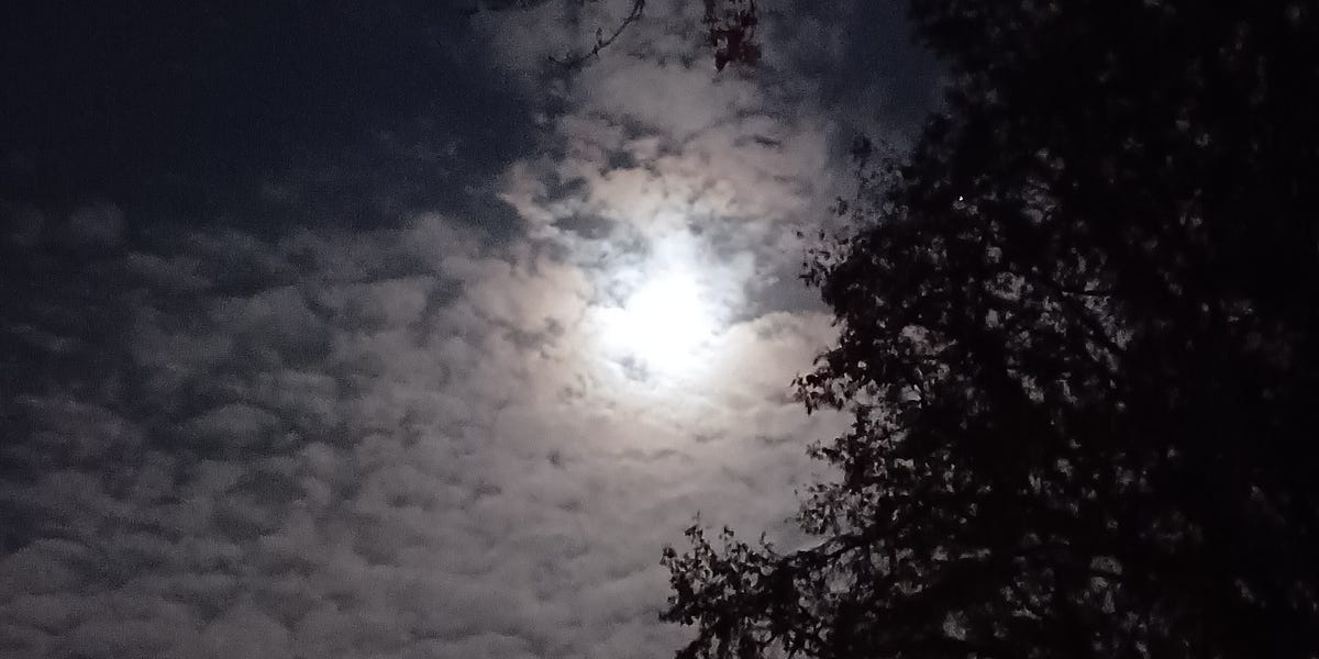 The Mourning Moon - Sarah Kendzior’s Newsletter