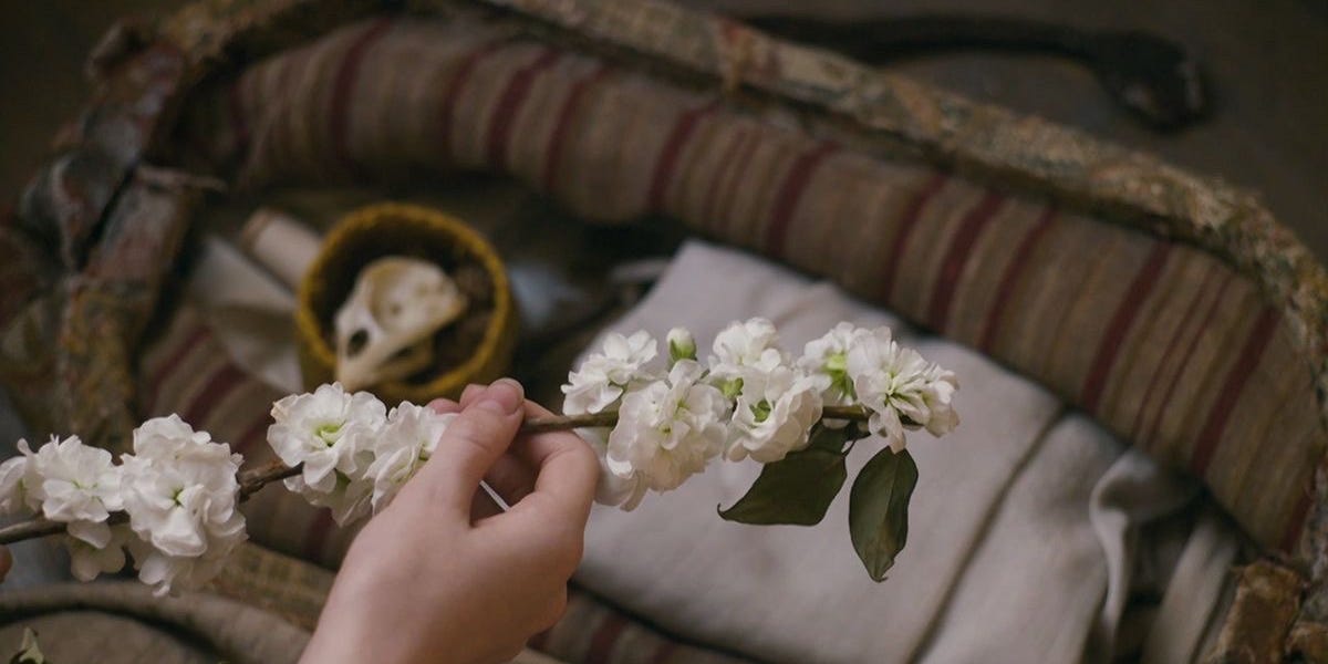 Banality of Moral Bankruptcy - by Kiliaen Rensselaer