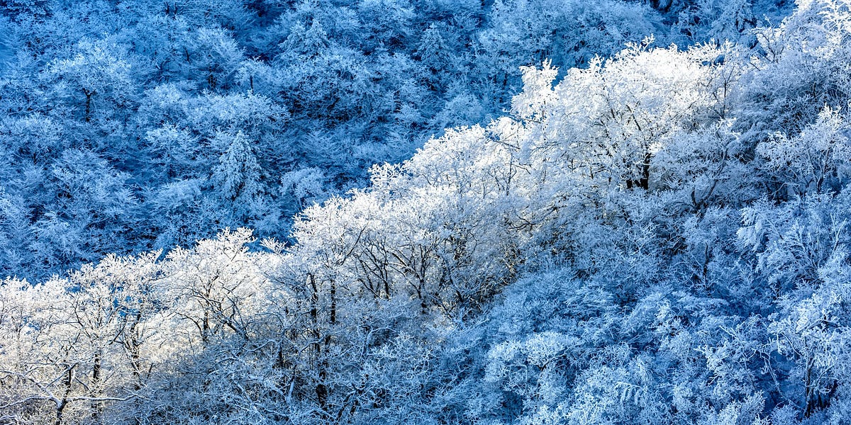 Issue #47 - ARIMA models: components and parameters