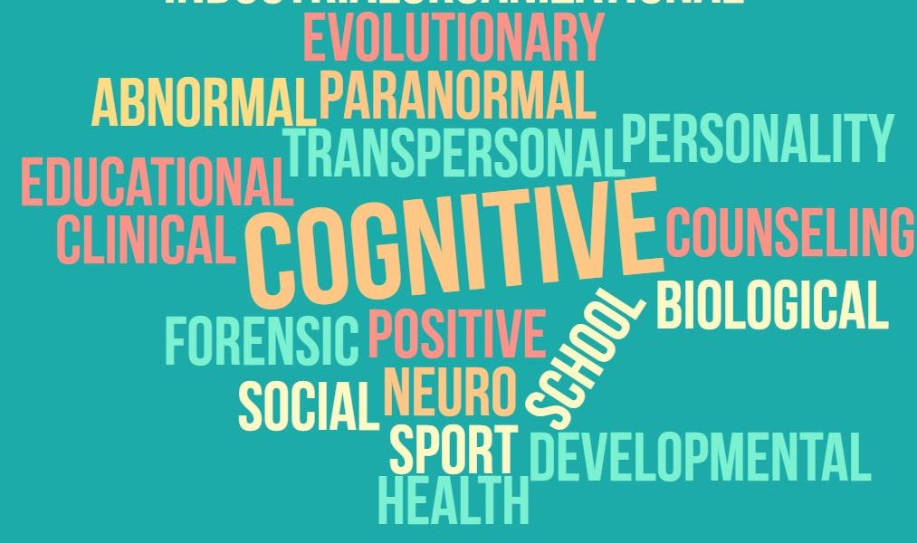 Types of Psychology - by David Webb - All About Psychology