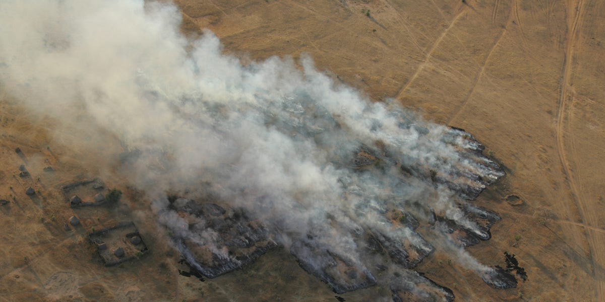 Darfur Genocide Watch - by Mark Leon Goldberg