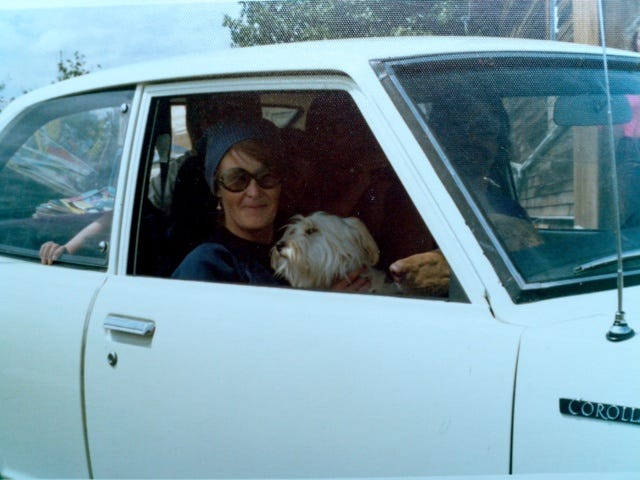 Koda - by Trevor Casper - Trevor’s Substack