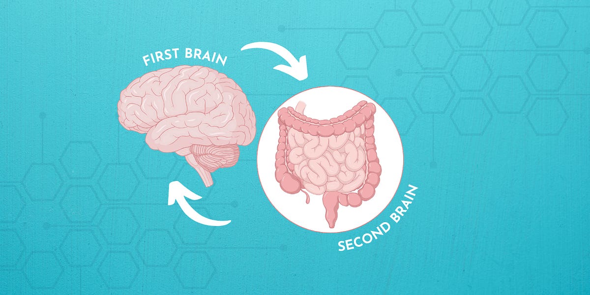 The Second Brain - by Kenneth Hemmler