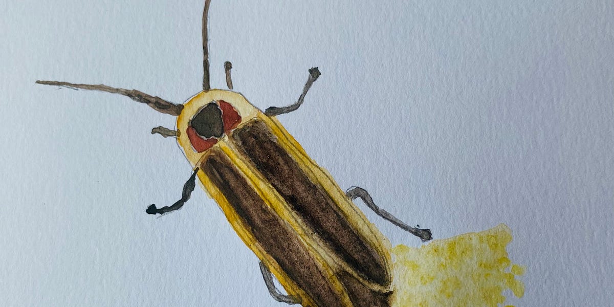 Pure awe, pure inspo - by Susannah Felts