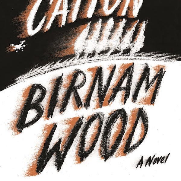 Review: Anthony Domestico on Eleanor Catton - Book Post