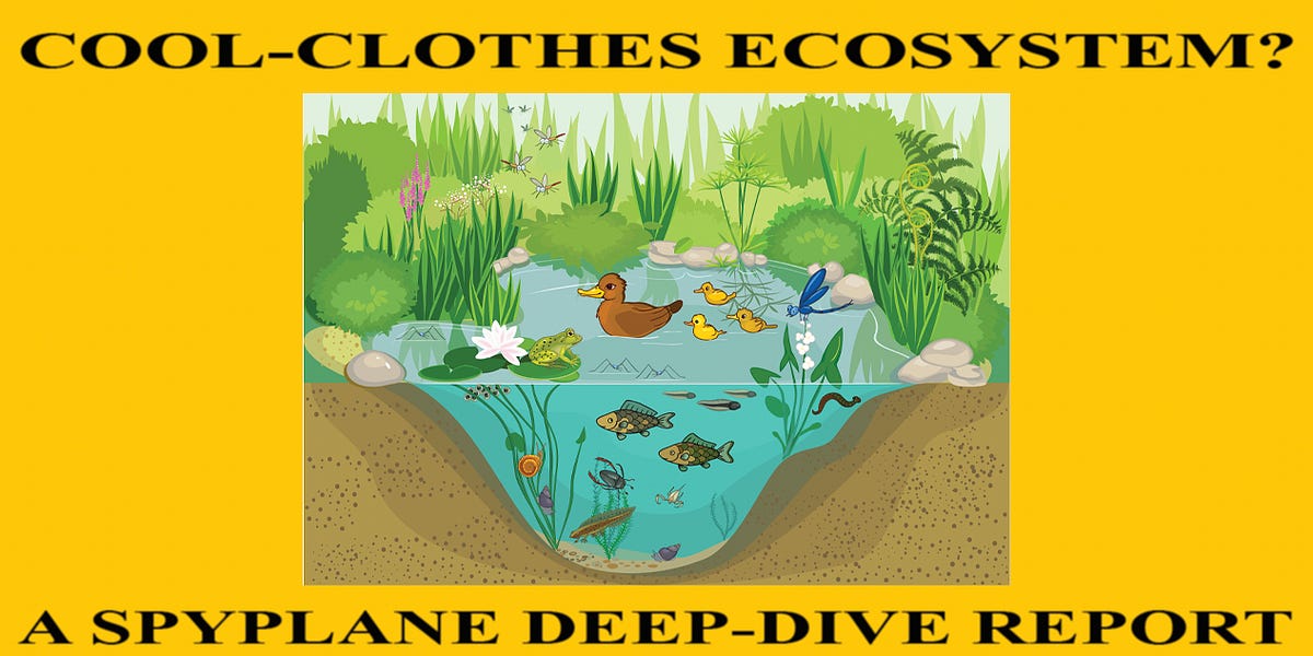 Is Ssense hurting the cool-clothes ecosystem?