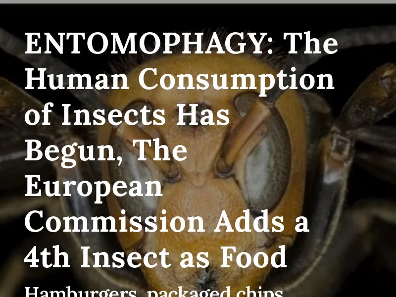 ENTOMOPHAGY: The Human Consumption of Insects Has Begun, The European ...