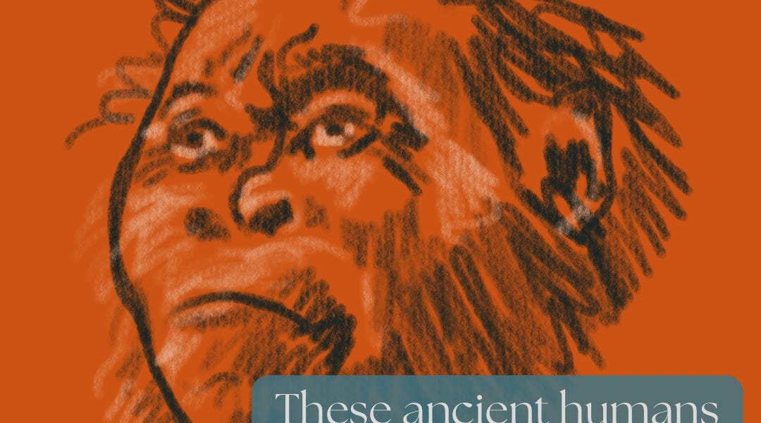 The treacherous burial ritual of the Homo naledi