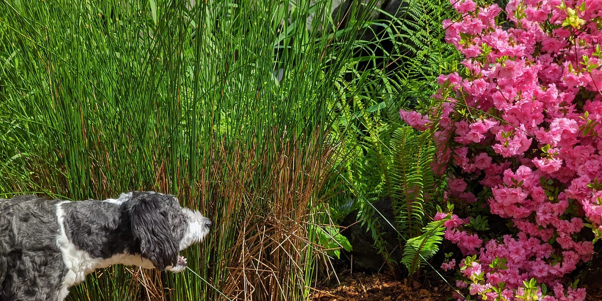 New Employee Ramp Up Costs – How to Improve the Experience