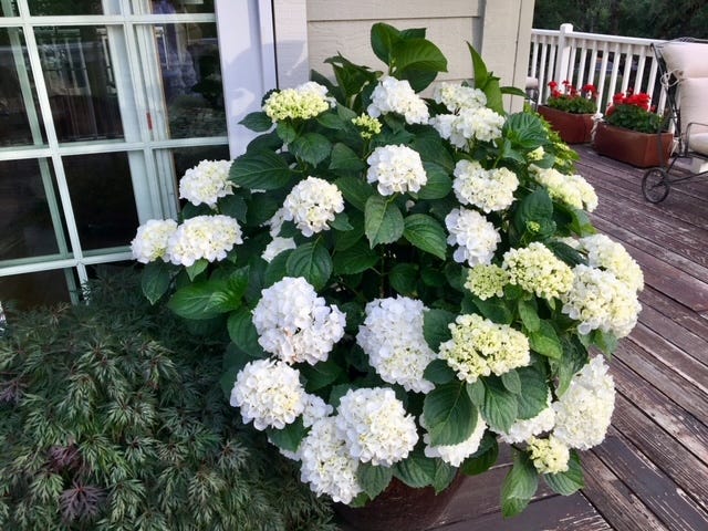 If the river can bend - by Sue Ferrera